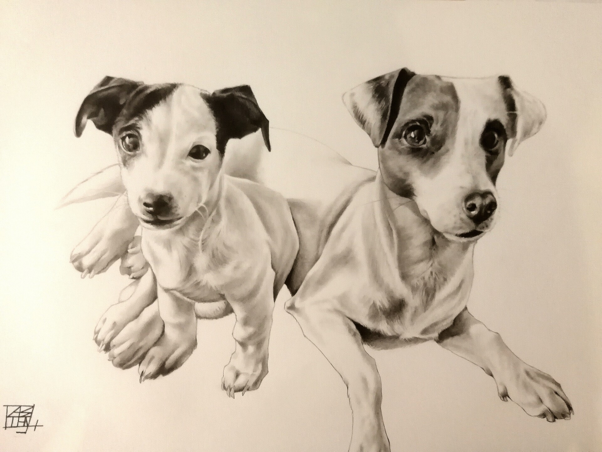 ArtStation - Doggos Commission