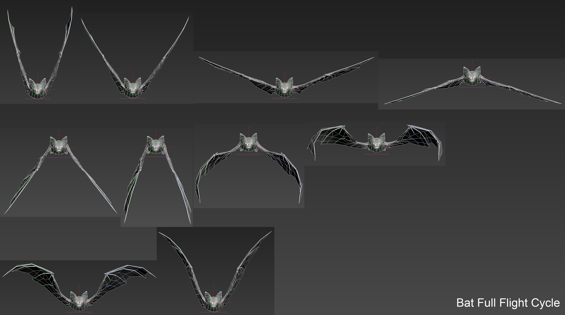 bat animation cycle