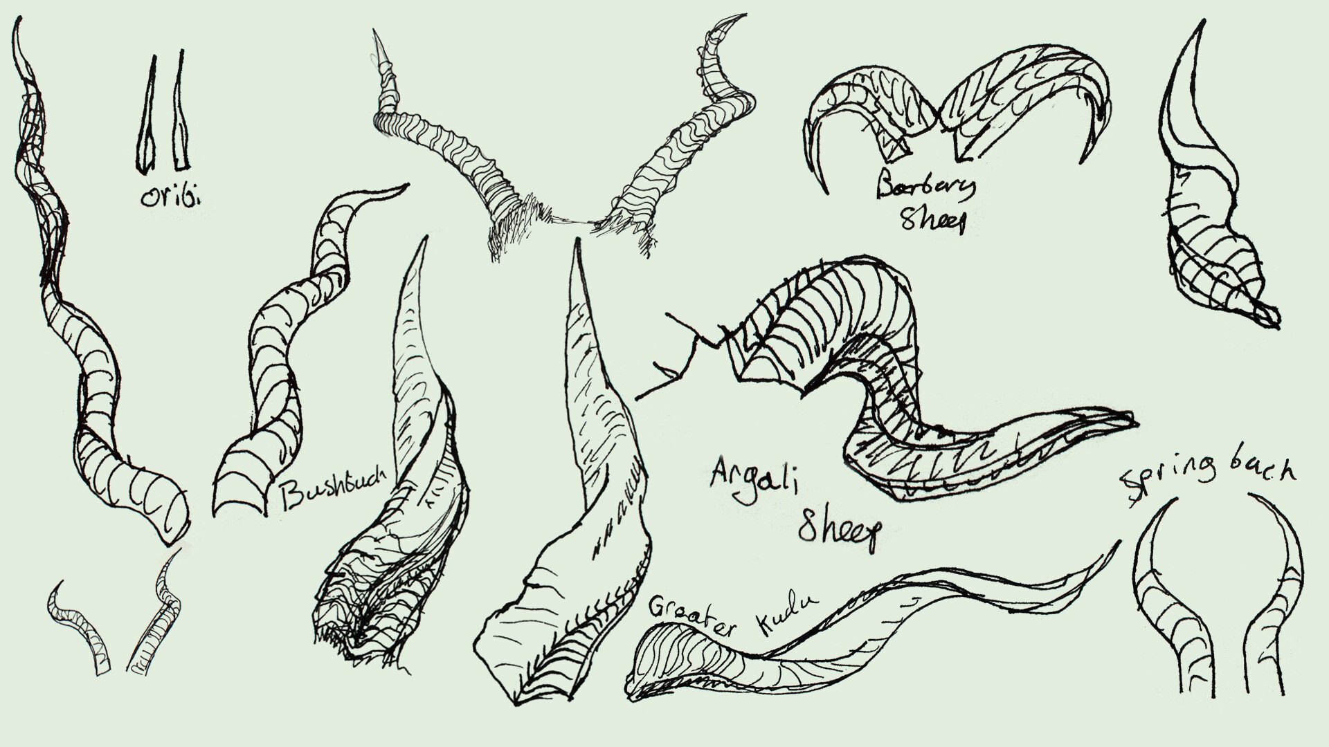 ArtStation - Horn Studies