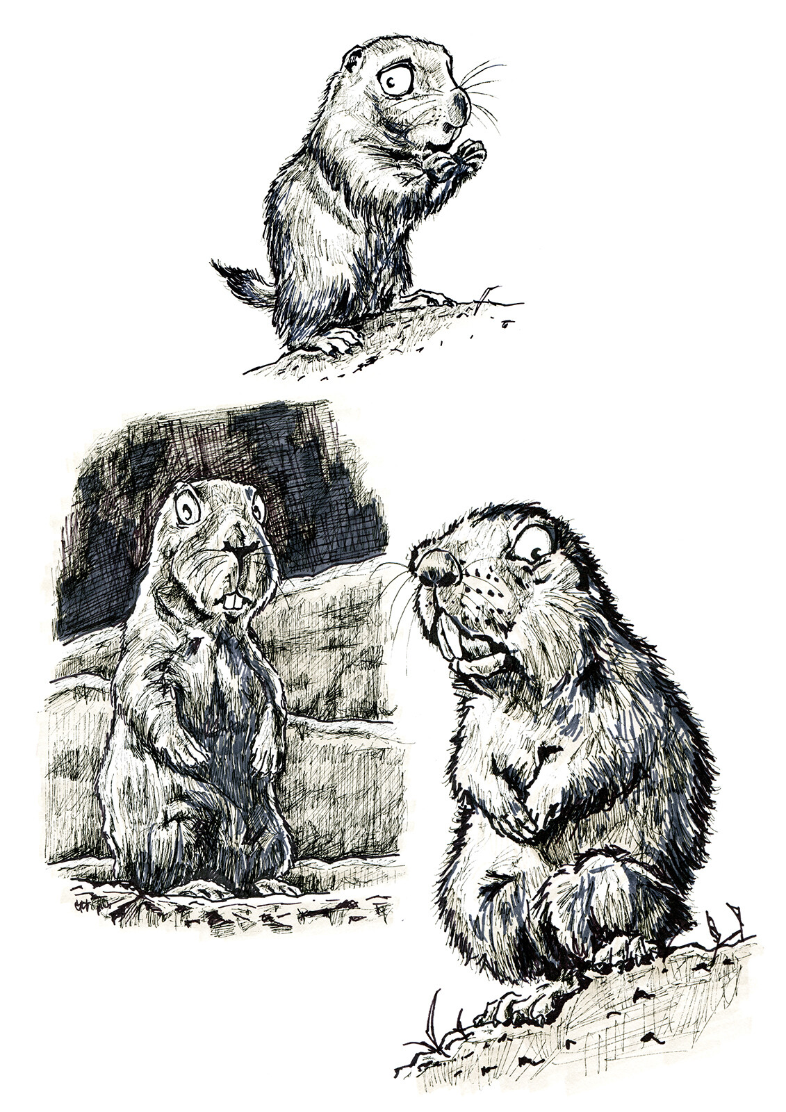 ArtStation - Gophers!