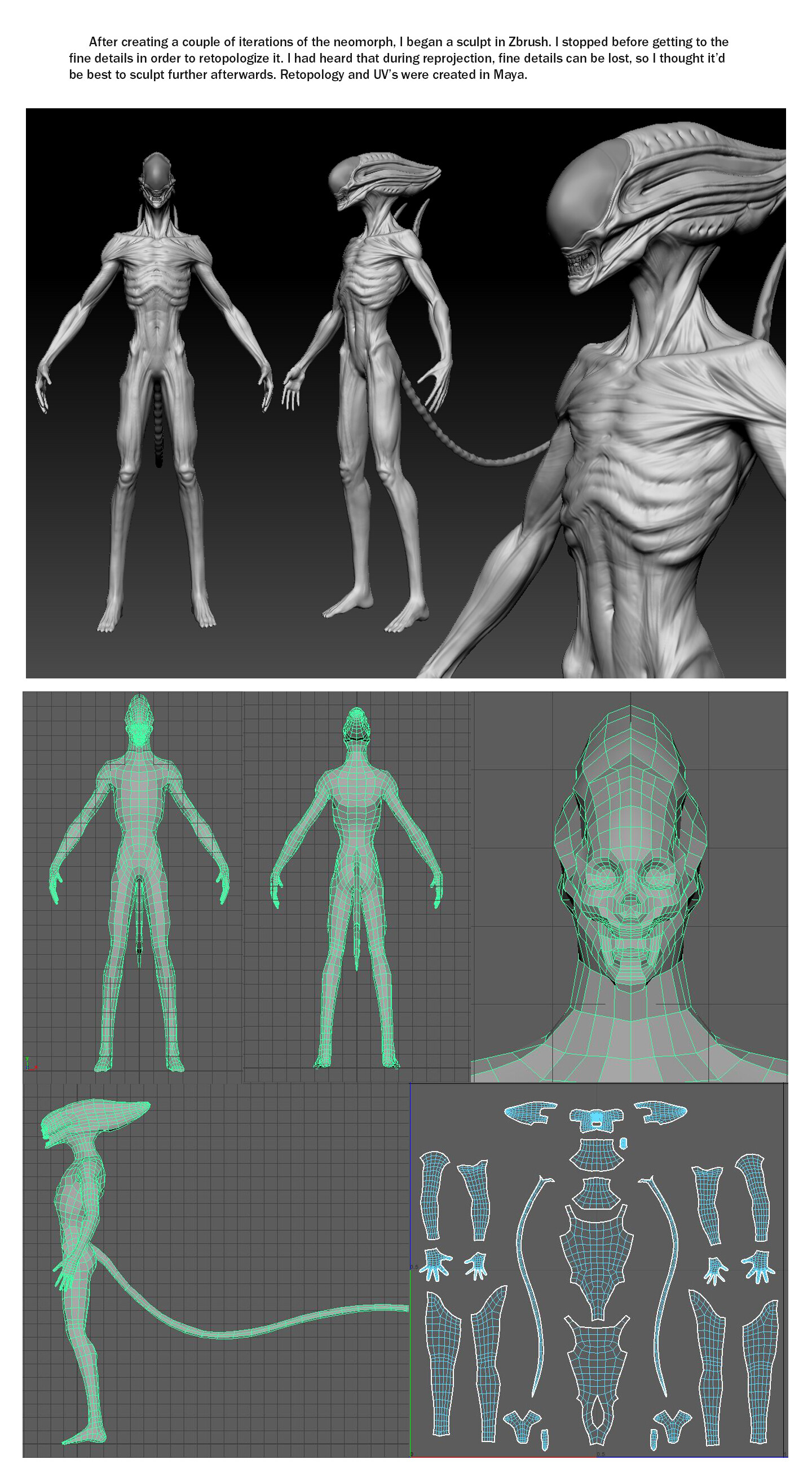 Molly Brown - Neomorph Redesign Project