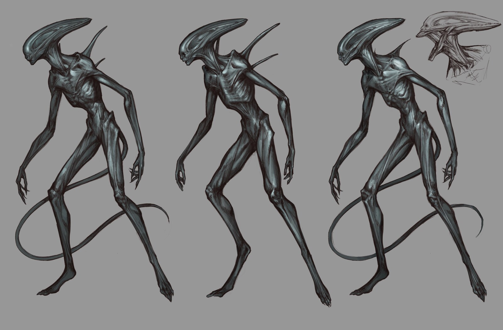 Molly Brown - Neomorph Redesign Project