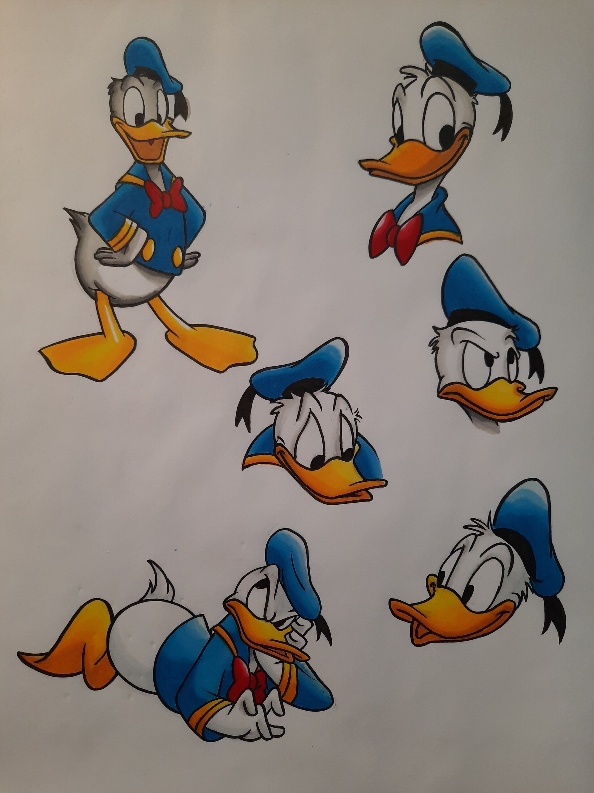 ArtStation - Donald Duck's studies for a school project