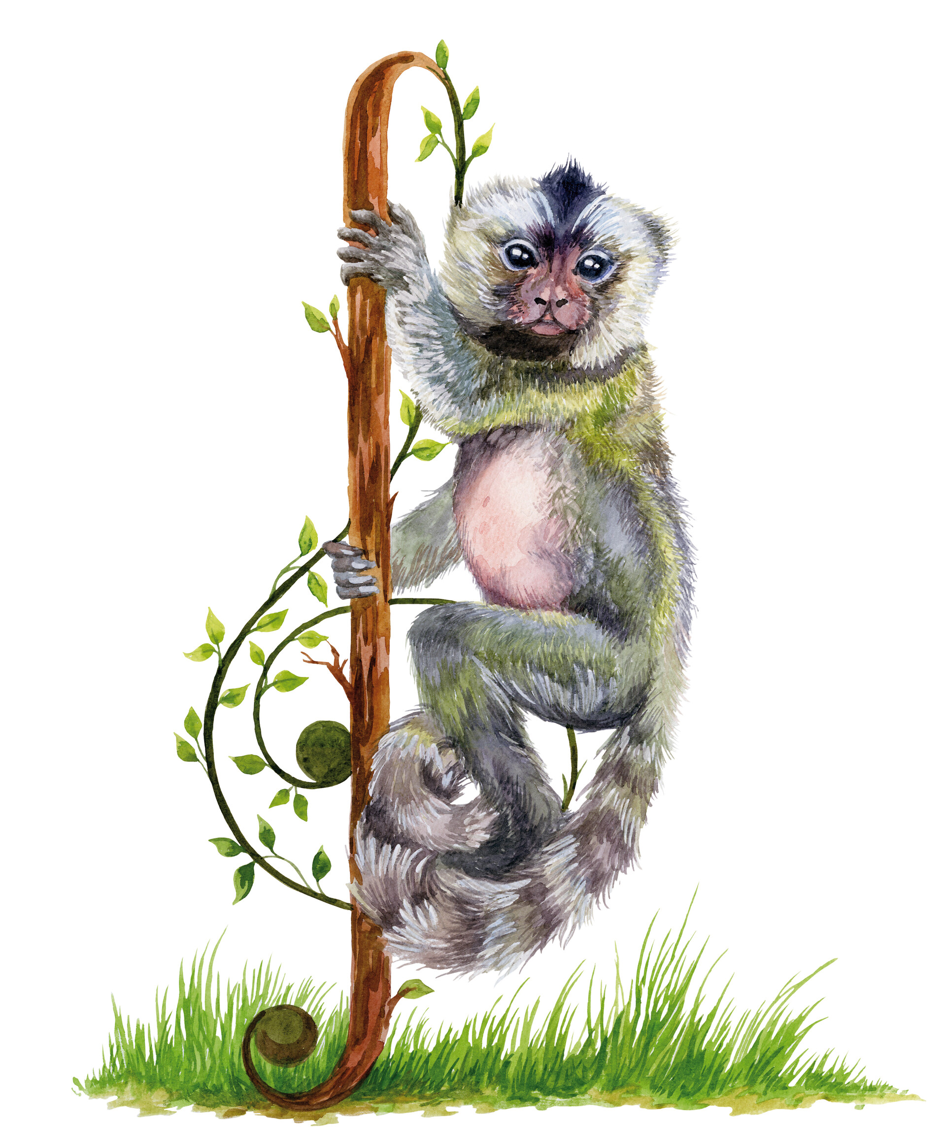 ArtStation - A small marmoset