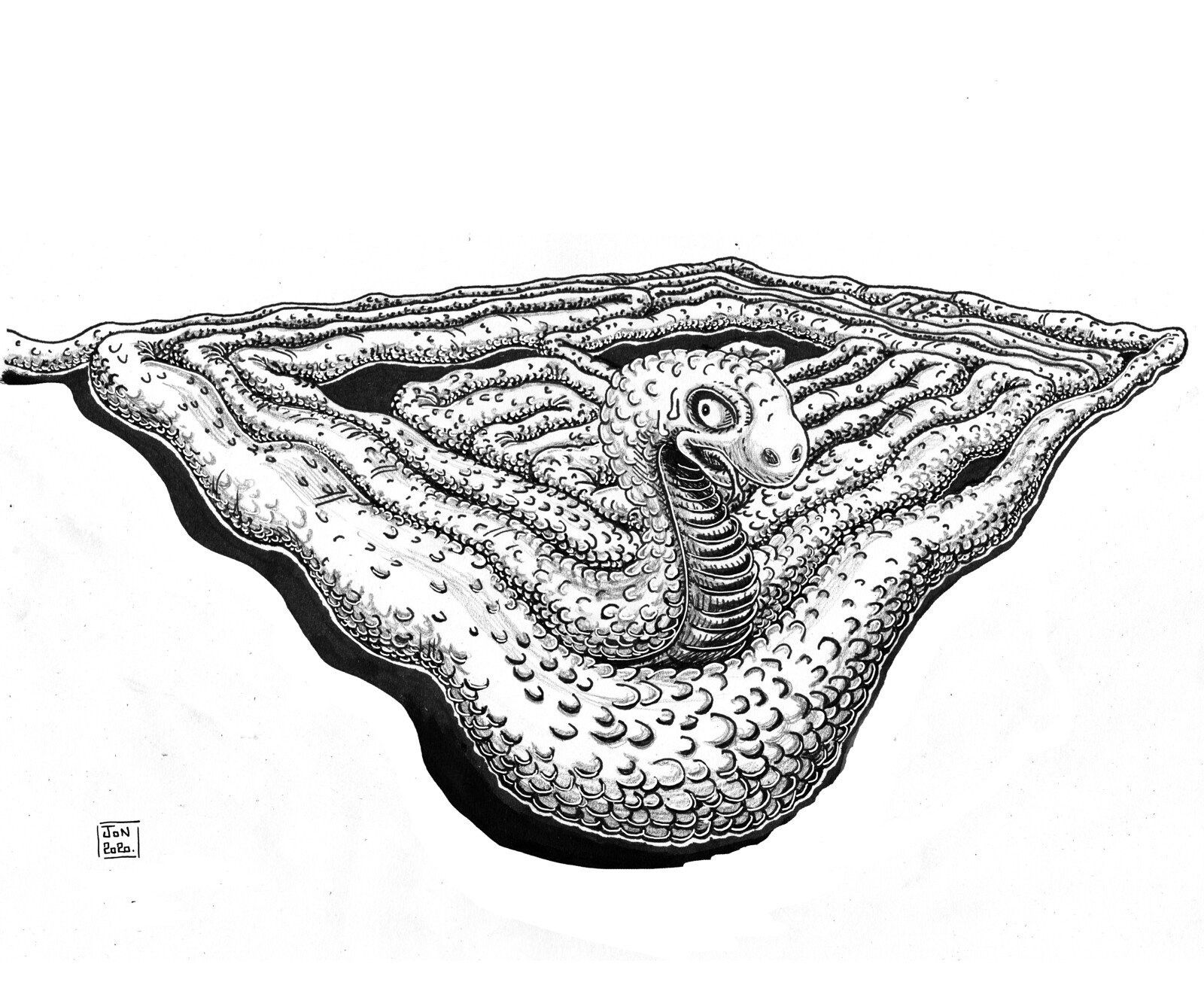 Jonathan Terrasse - SNAKE