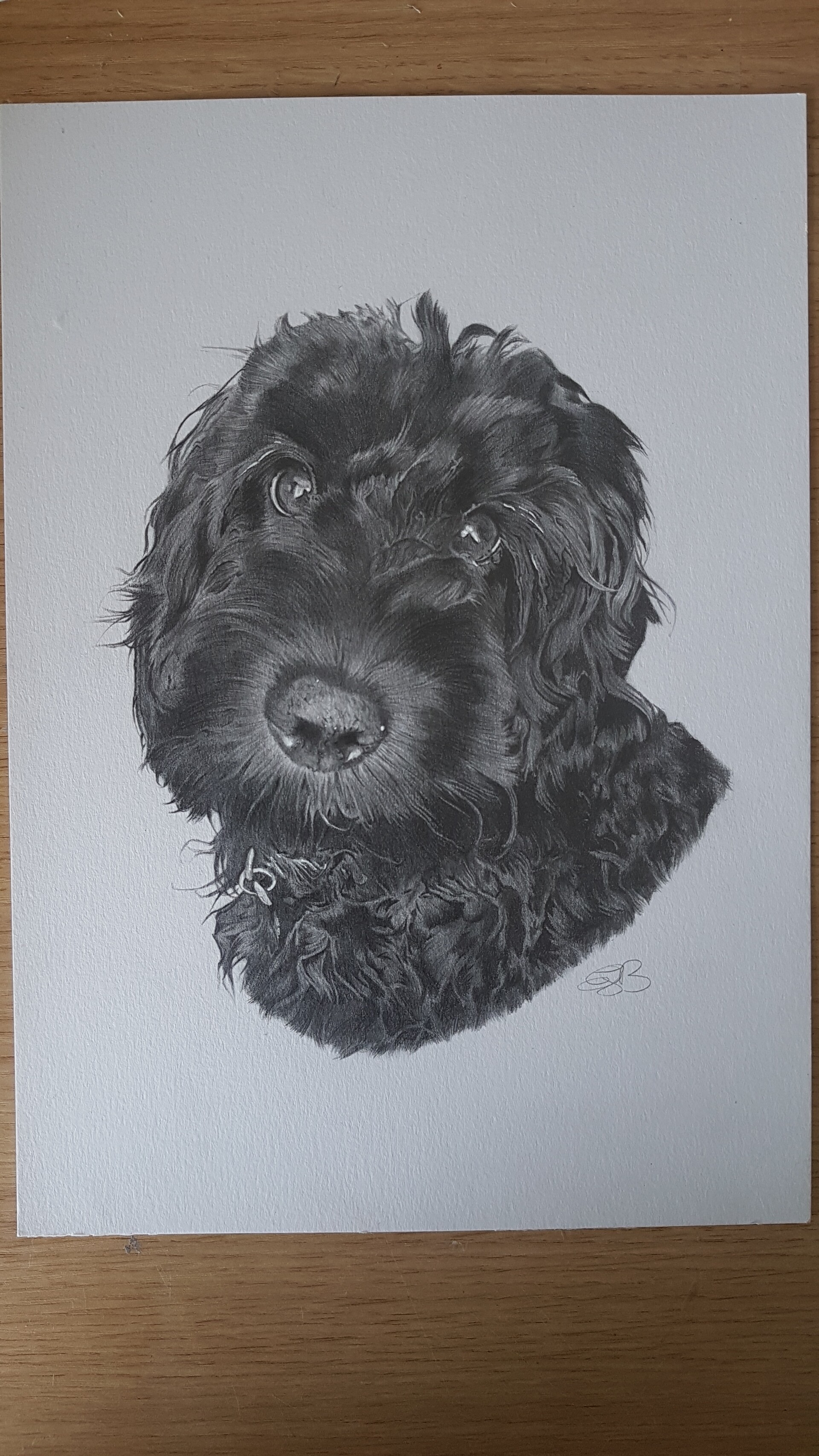 ArtStation - Cockapoo on A4