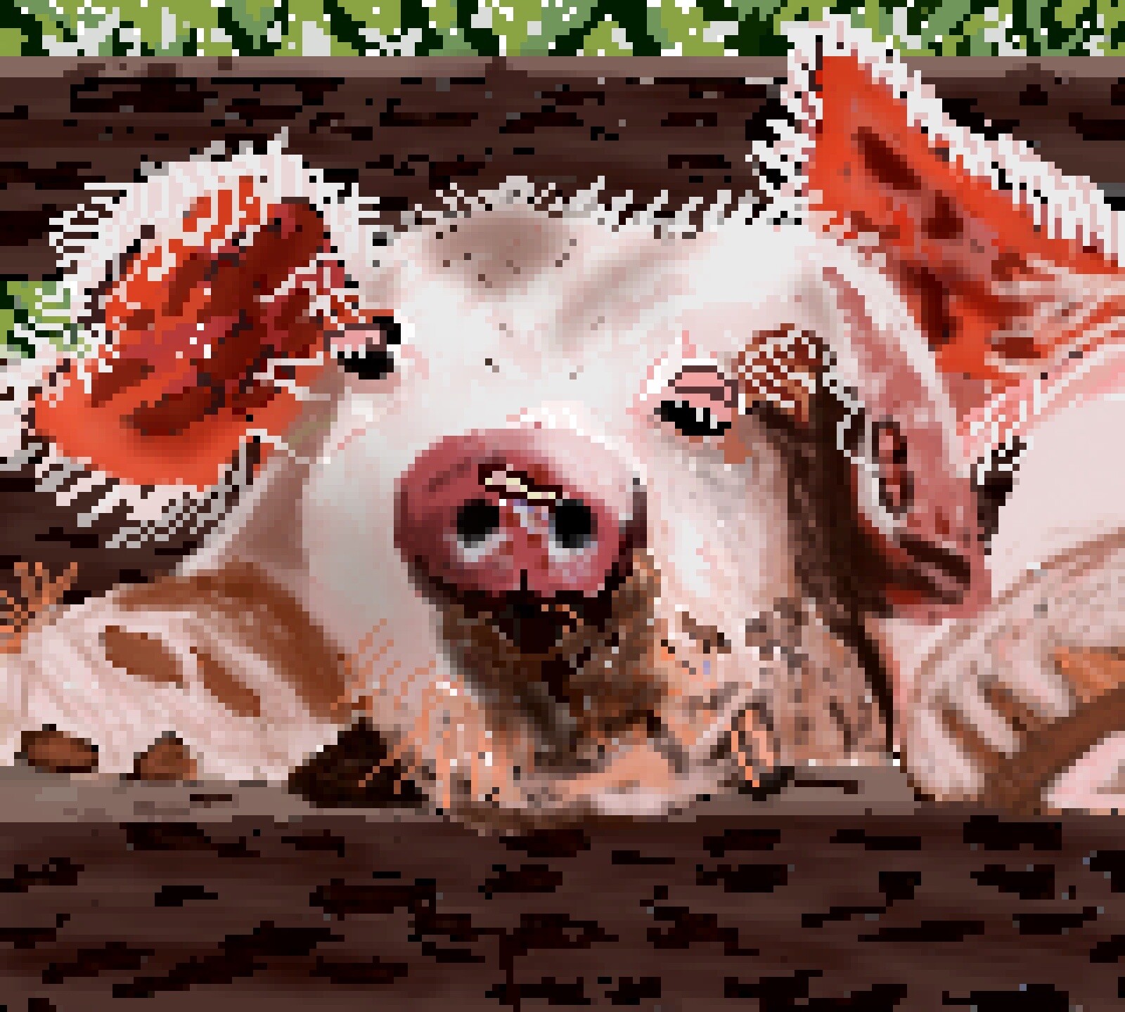 ArtStation - Pixel pig