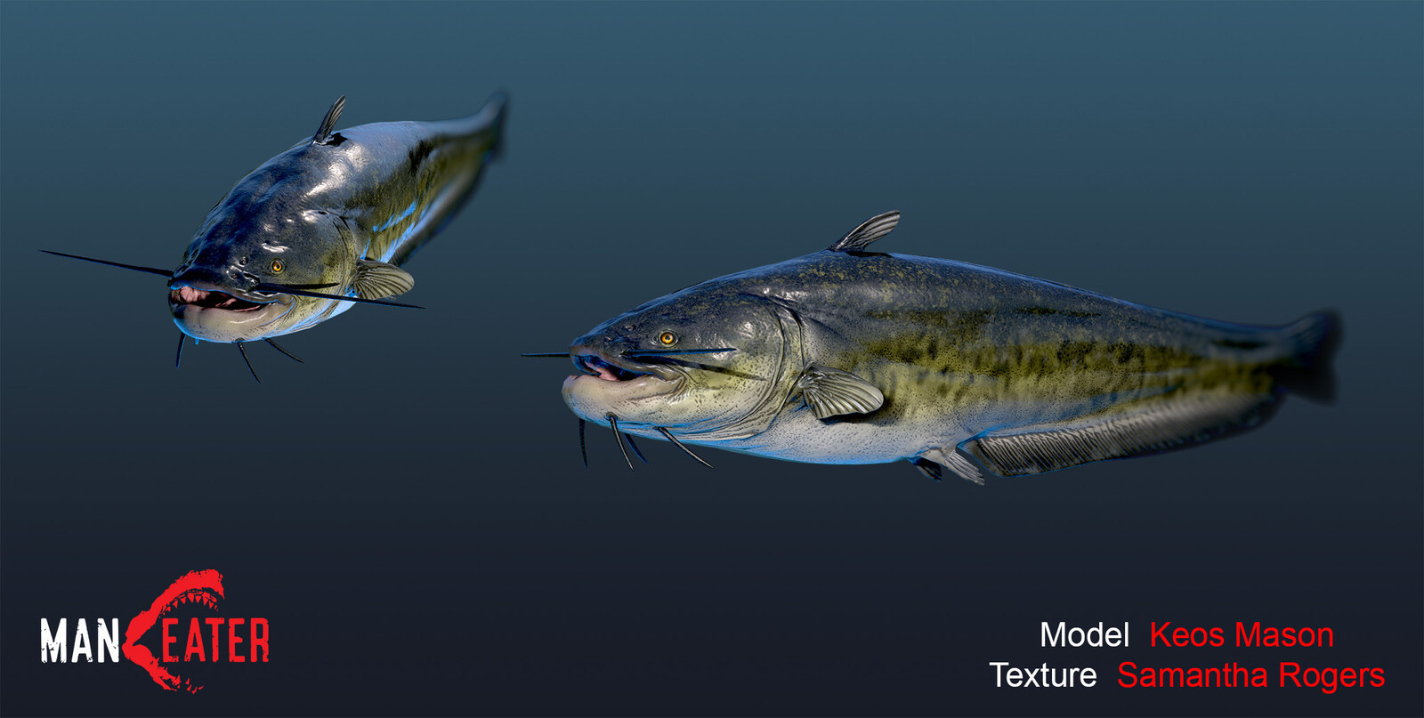 Samantha Rogers - Fauna and Swimmers - Maneater