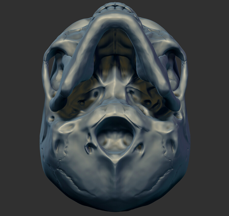 Maxim Starkov - Skull