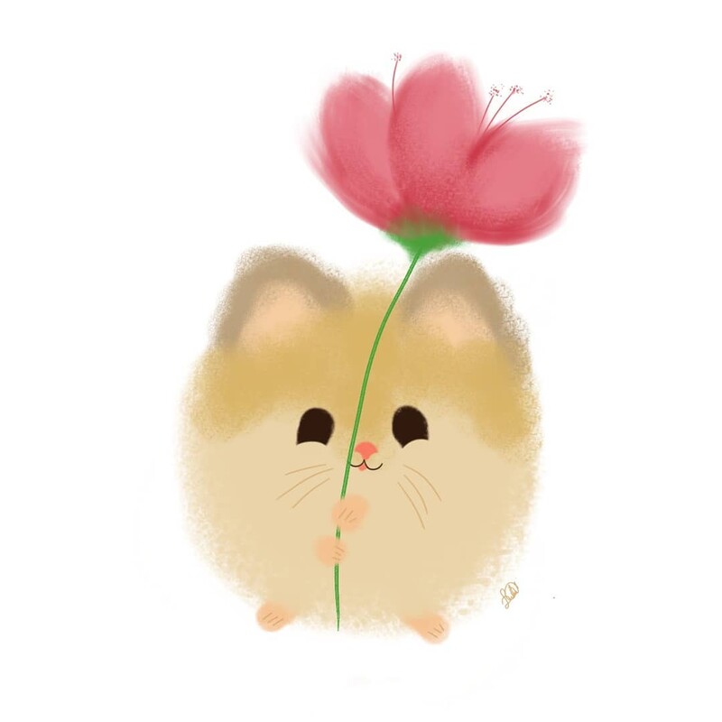 María Daniela Pinzón Lopez - Portfolio