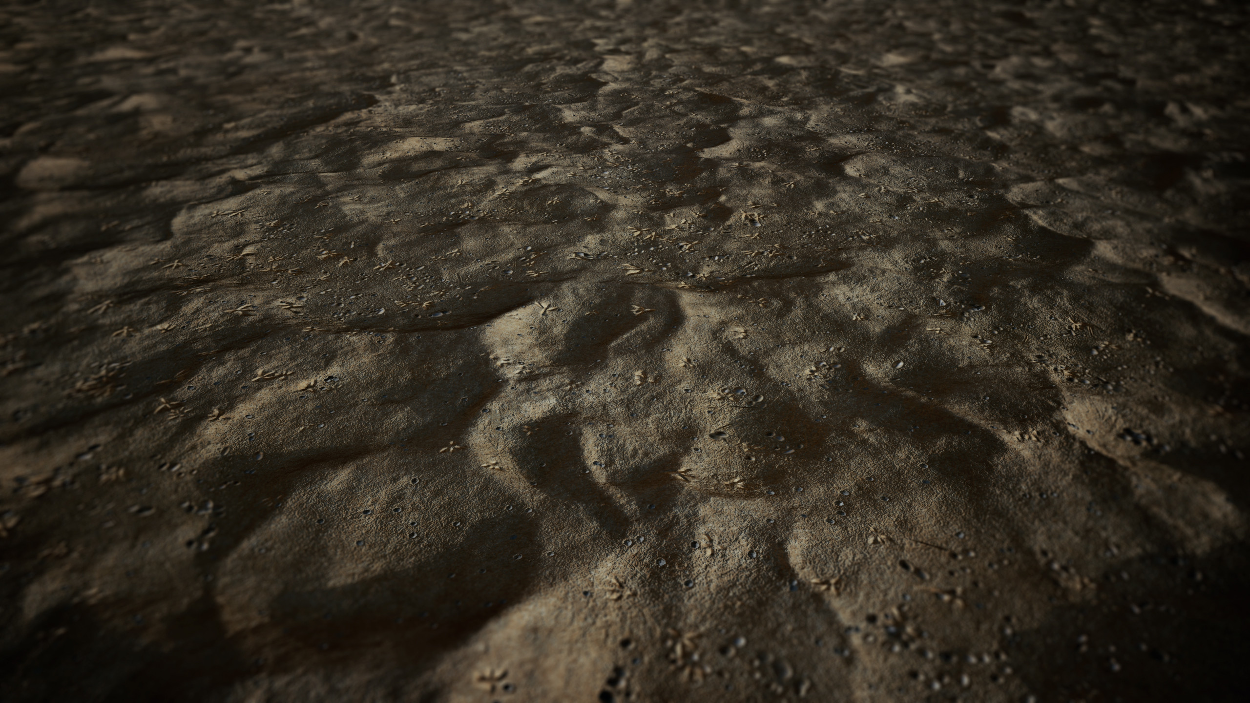 Kai Mergener - Desert Sand