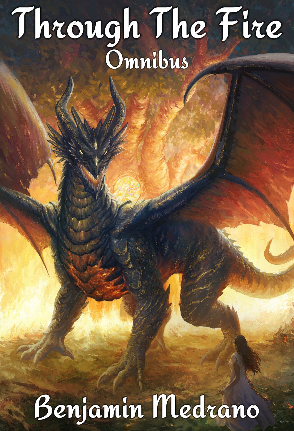 Benjamin Medrano - Through the Fire