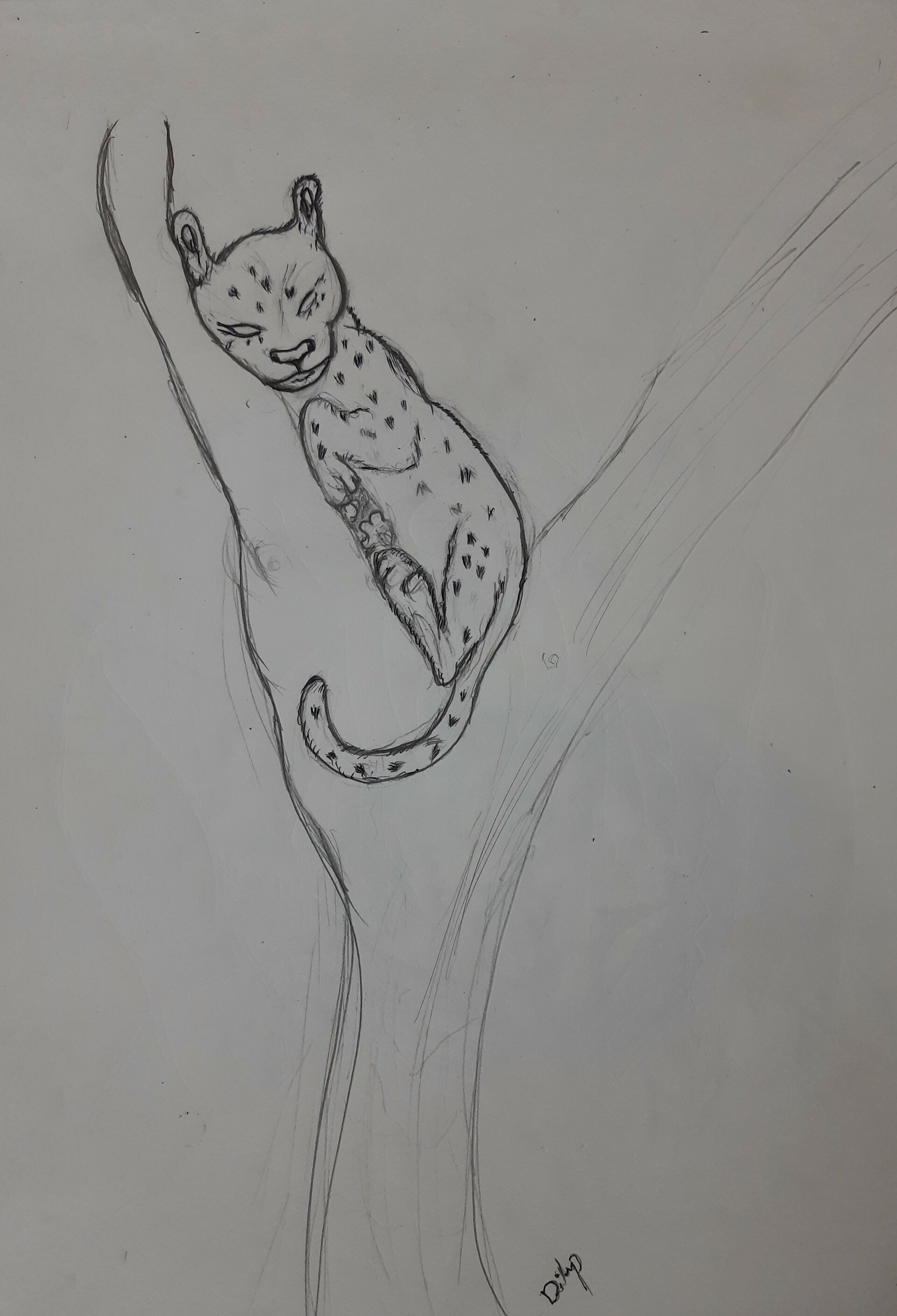 ArtStation - the leopard tree by pencil sketch