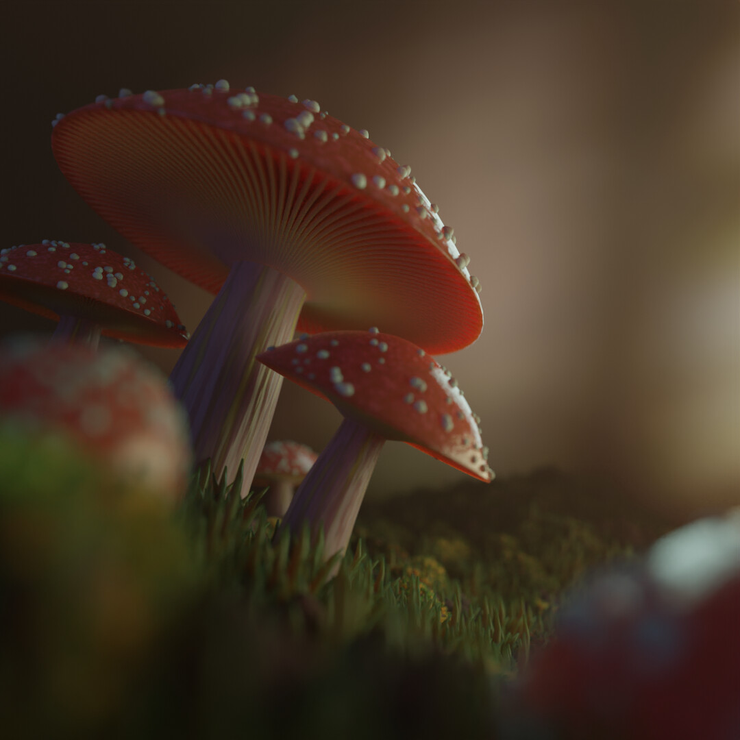 ArtStation - Mushroom scene- Cena cogumelo