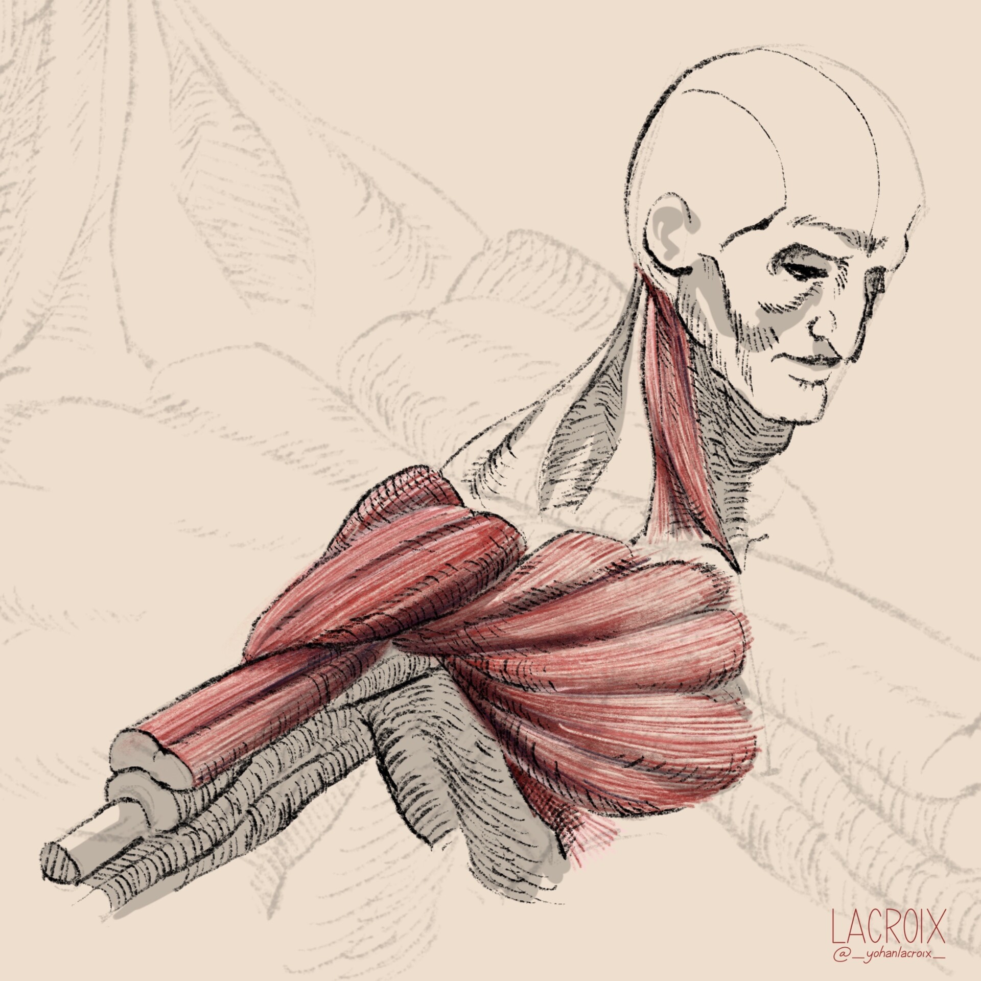 ArtStation - Shoulder study