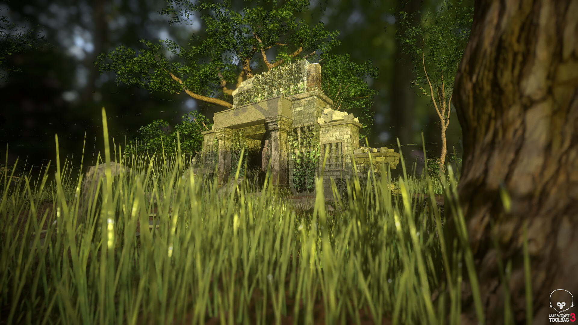 Alson Chew - Mayan Temple Ruins