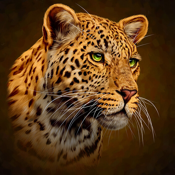 ArtStation - leopard portrait redrawing to color