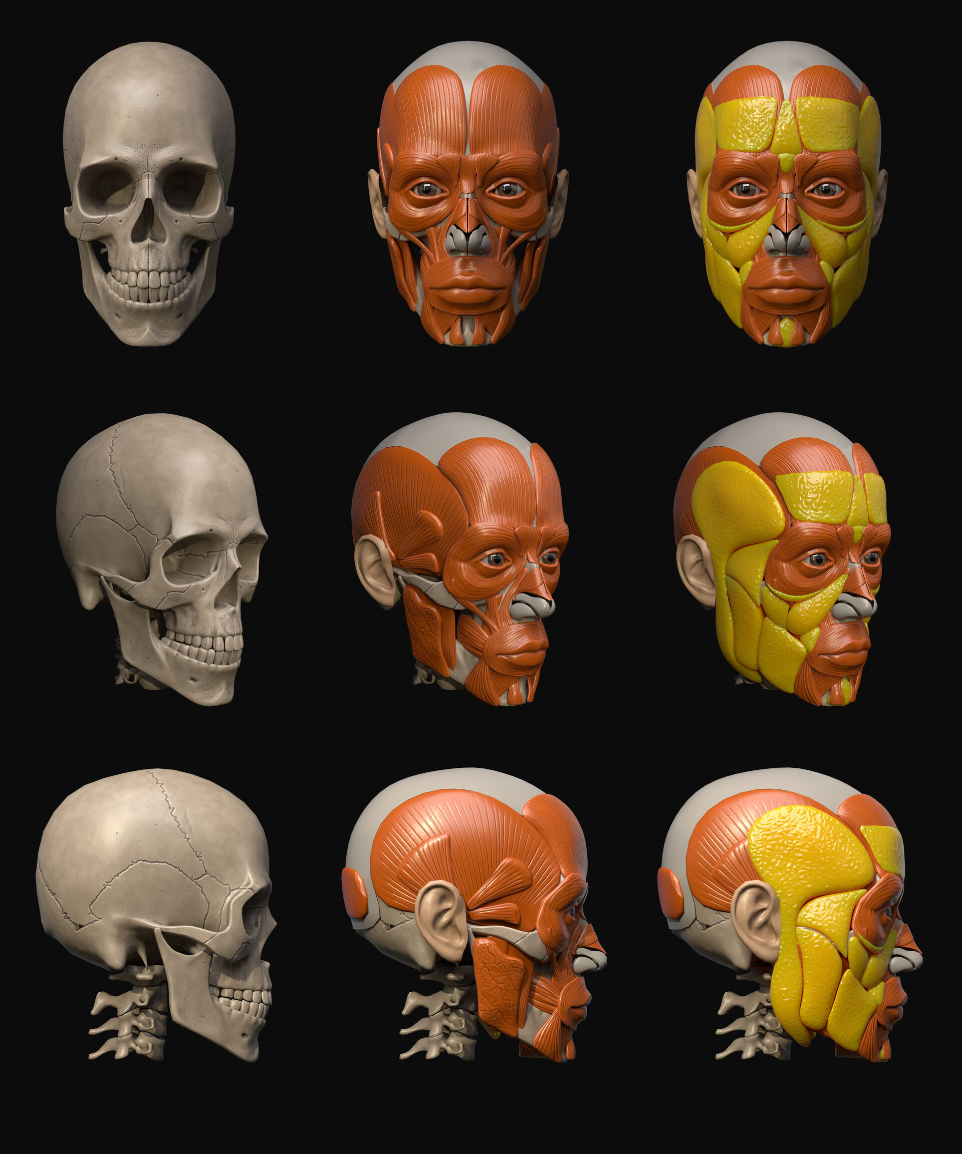 ArtStation - dissect