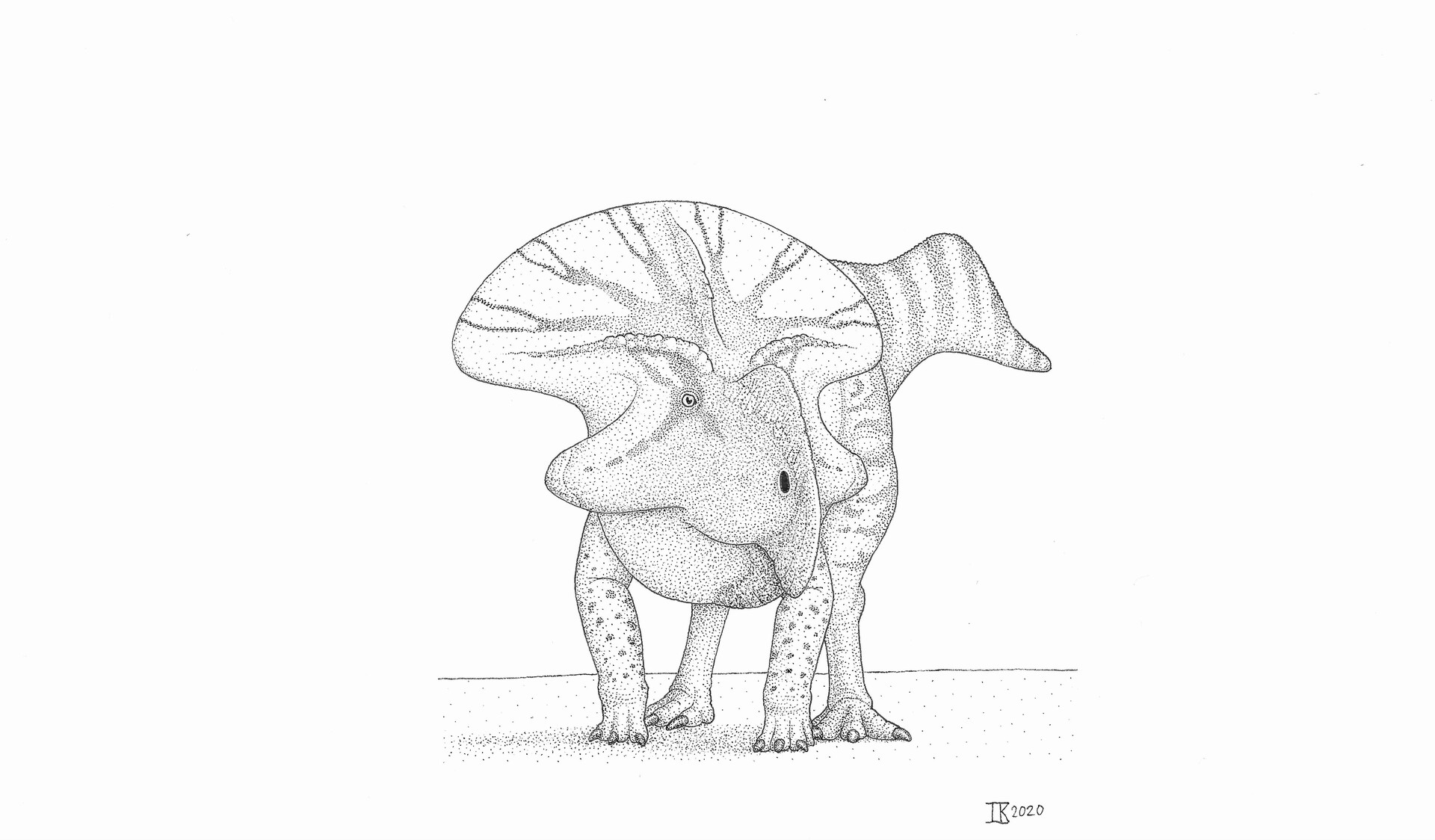 ArtStation - Protoceratops