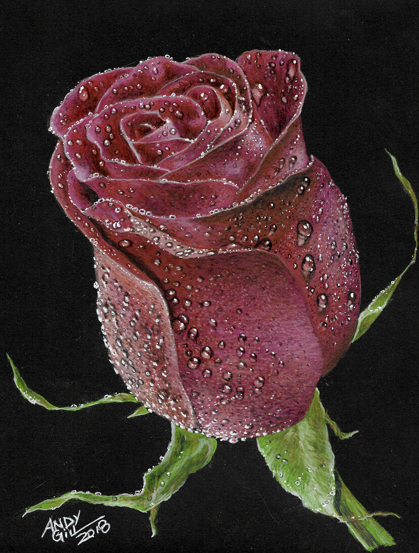 ArtStation - Red Rose