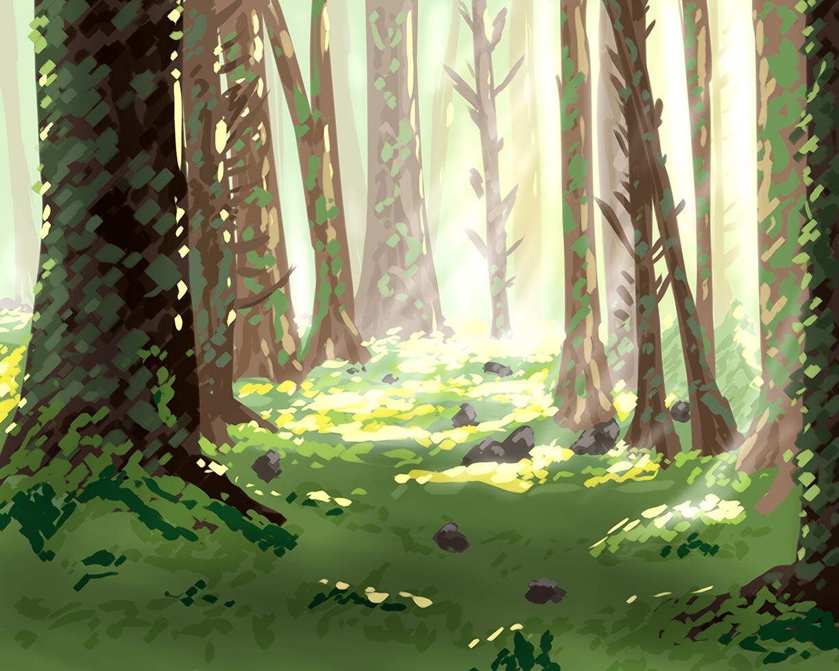 Erica Anderson - Forest Lighting