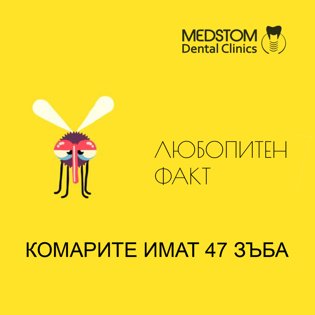 ArtStation Interesting Facts About Teeth artstation-interesting-facts-about-teeth