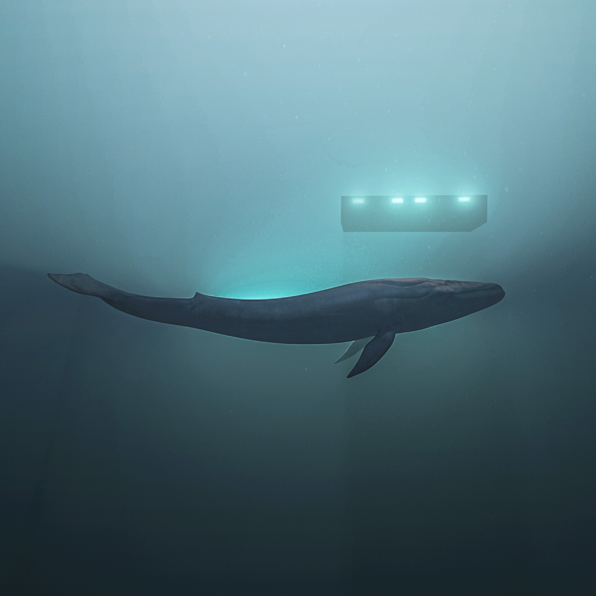 ArtStation - Low poly realistic blue whale, First complete pipeline model