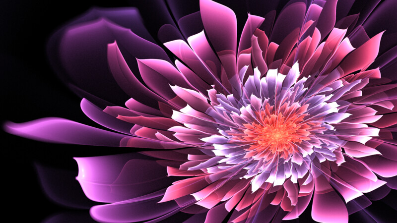 ArtStation - Bronwyn Hennessy