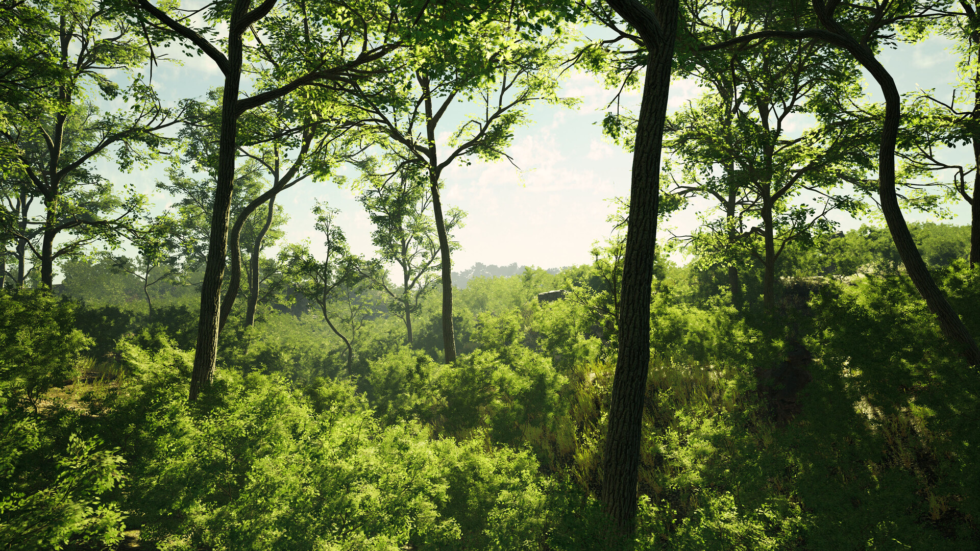 Benjamin Koch - Trees and Shrubs Pack - Unreal Engine 4