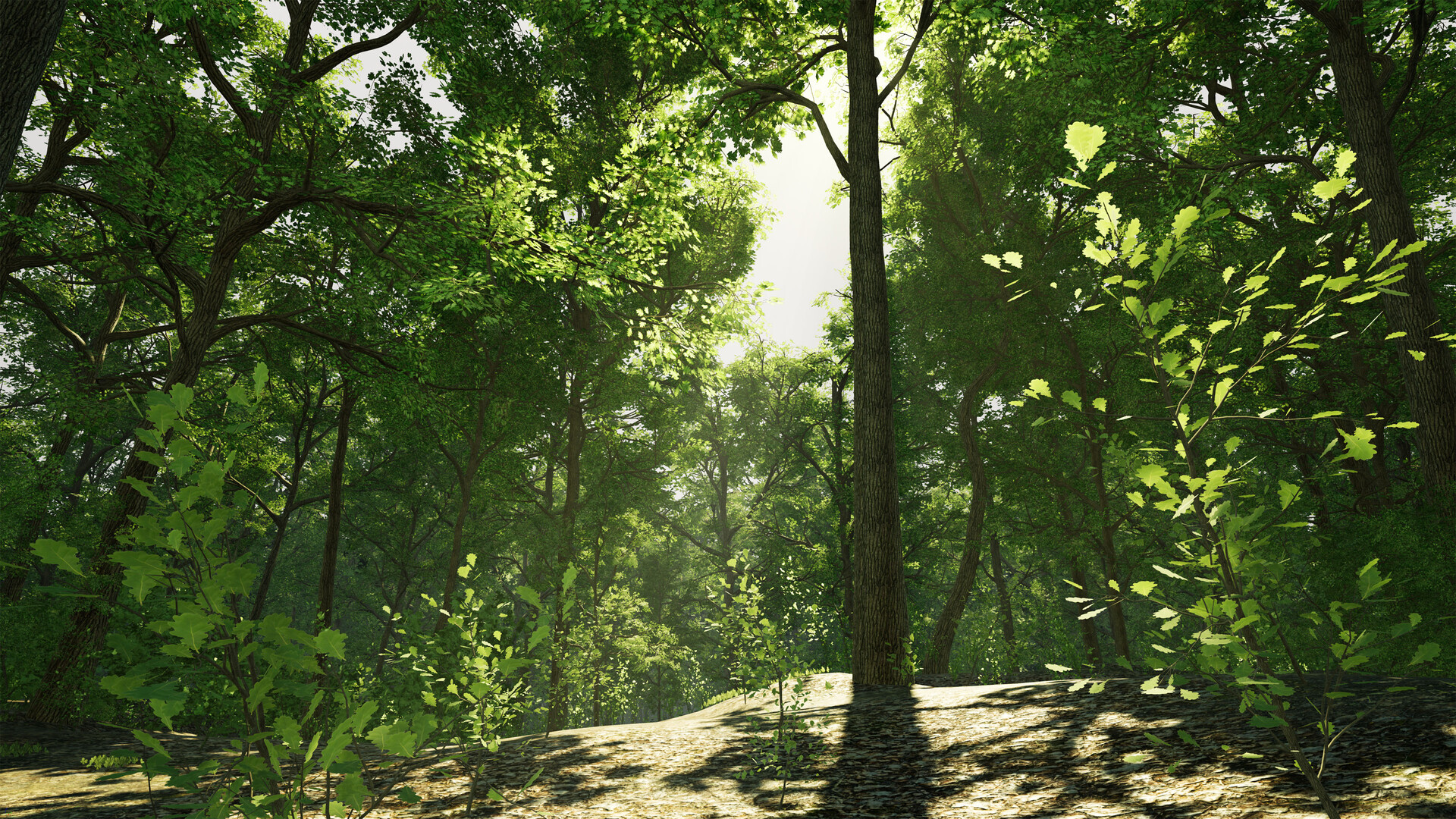 Benjamin Koch - Trees and Shrubs Pack - Unreal Engine 4