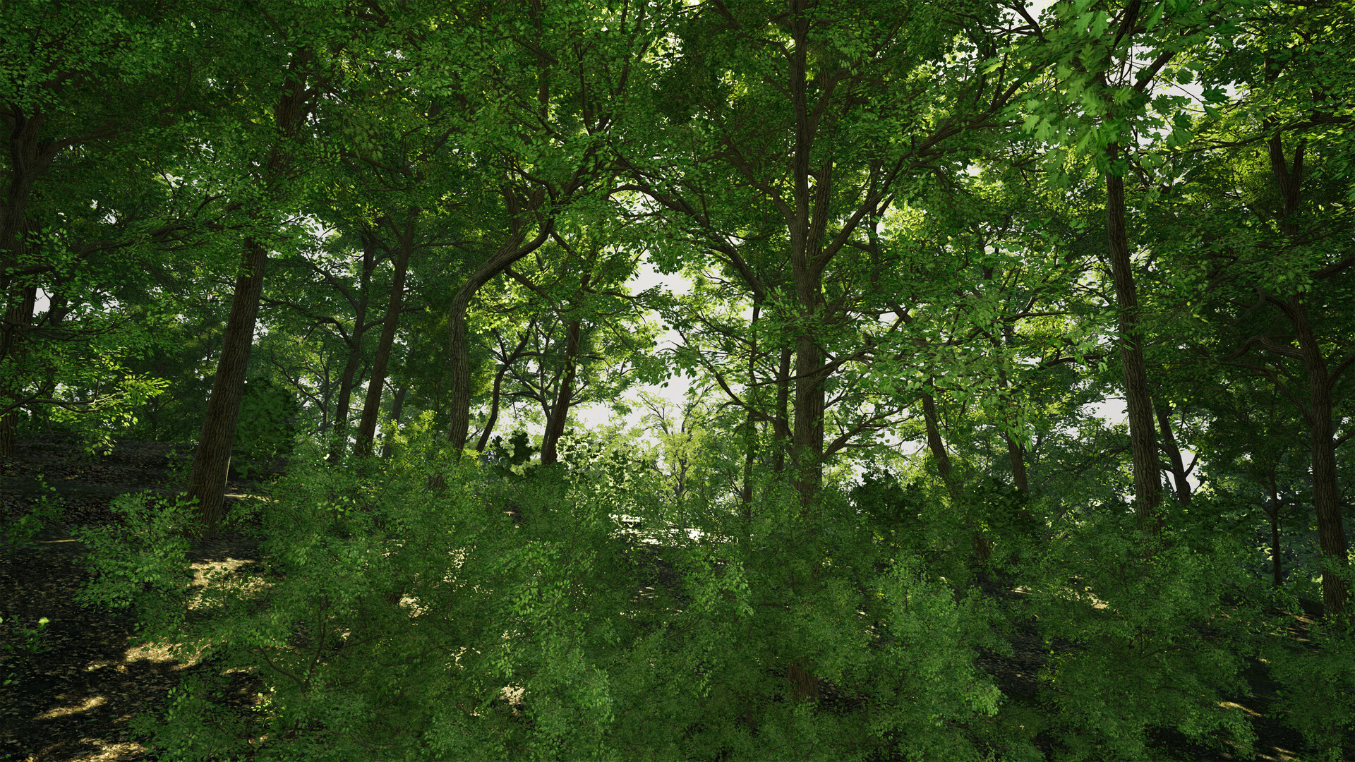 Benjamin Koch - Trees and Shrubs Pack - Unreal Engine 4