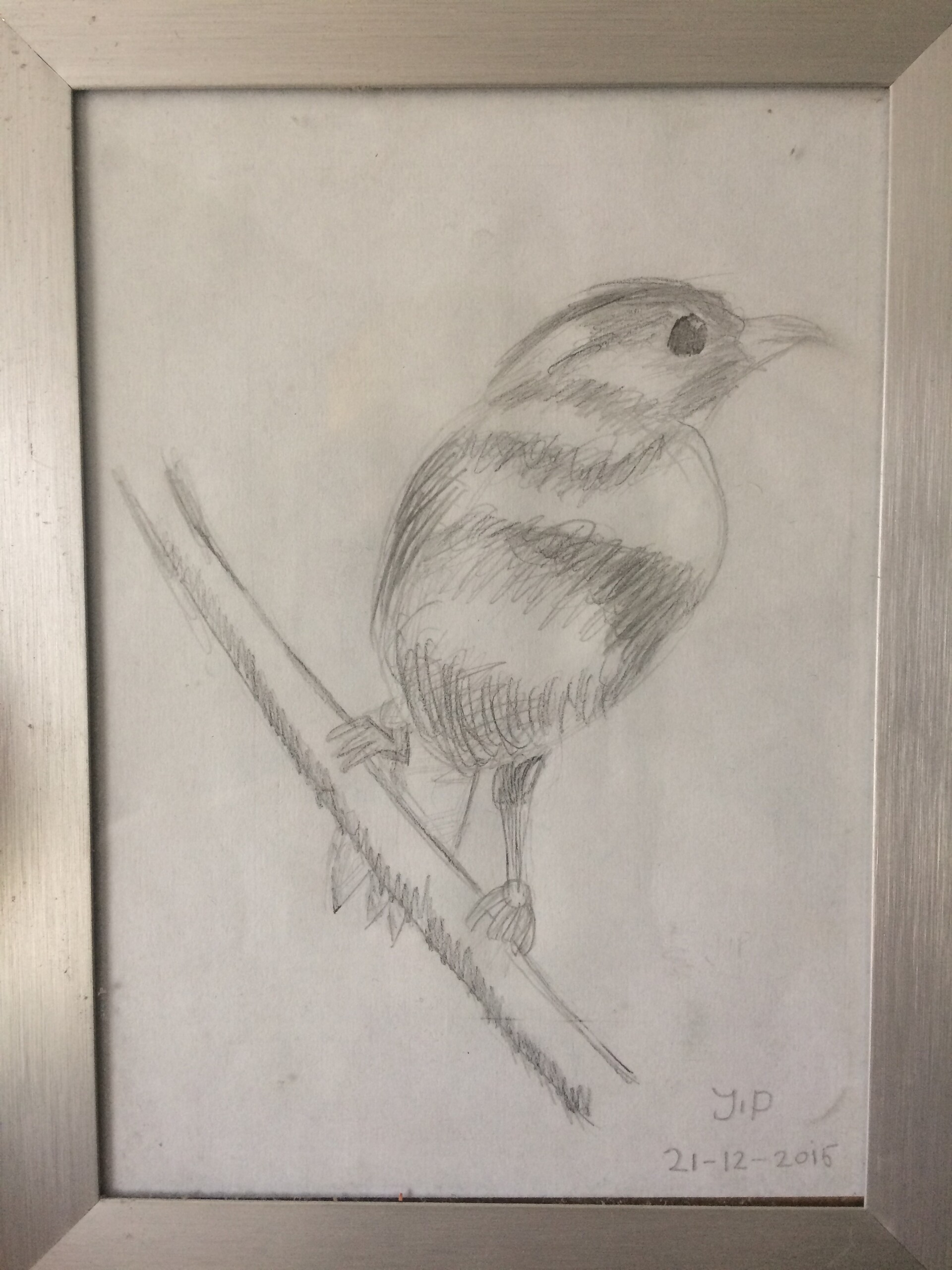 ArtStation - Old bird