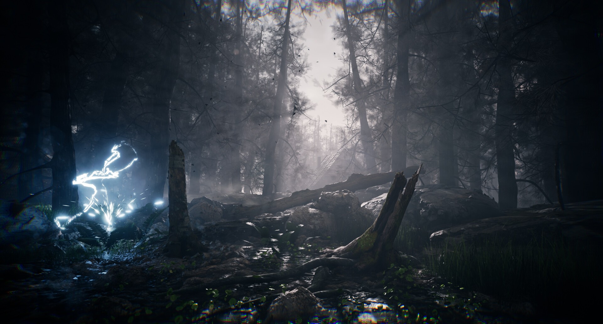 ArtStation - Anomaly Forest