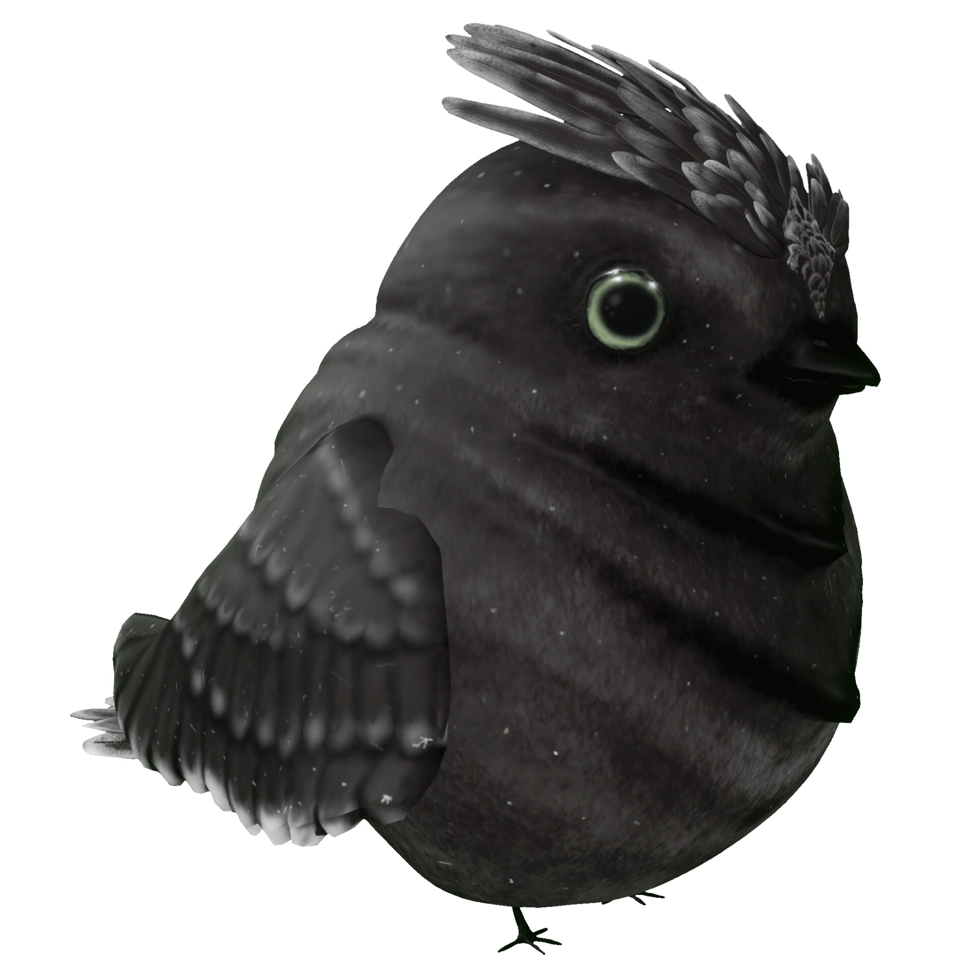 Sam Hall - The Birds of Cui Cui