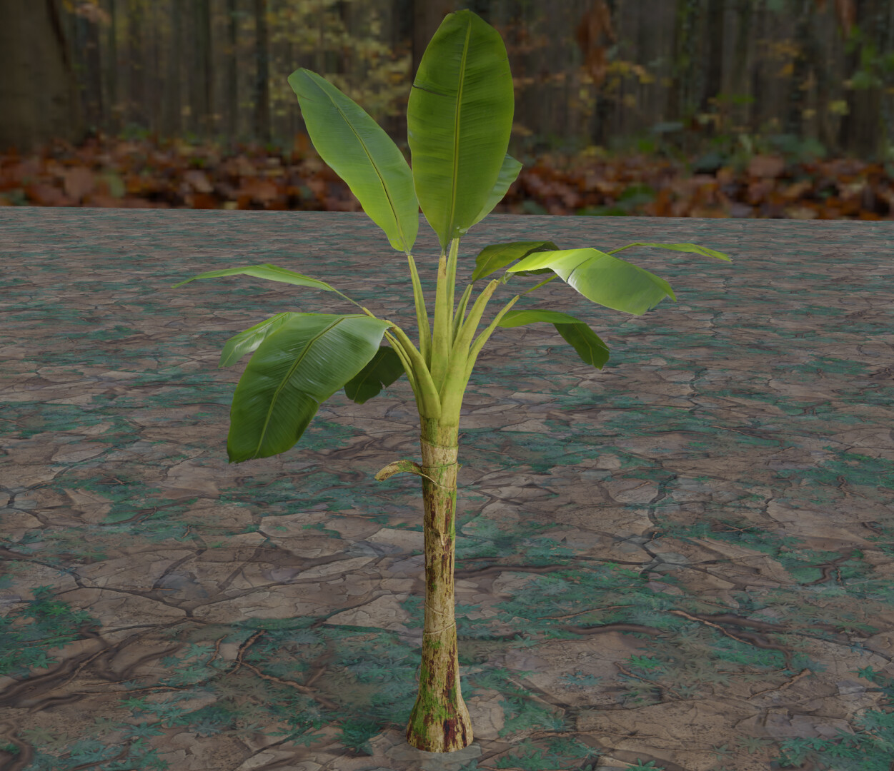 ArtStation - Stylized plants