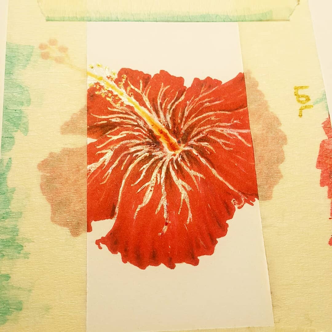 bunga raya drawing realistic