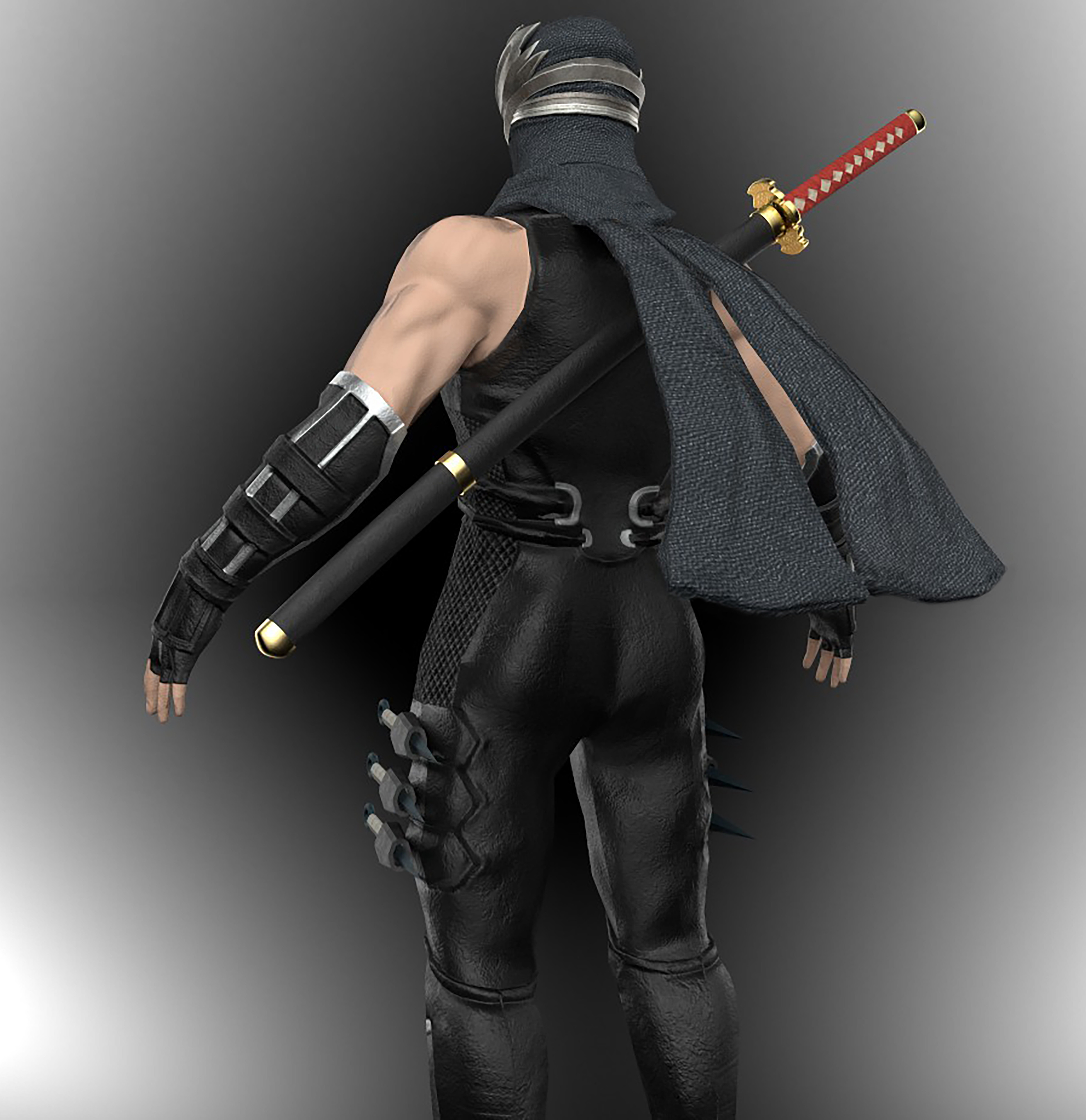 Ryu Hayabusa Ninja Gaiden 2