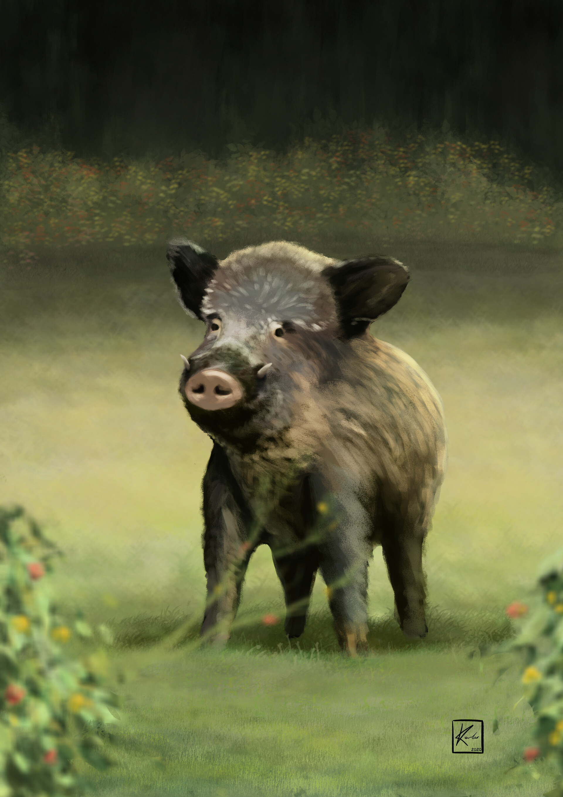 ArtStation - Boar Study