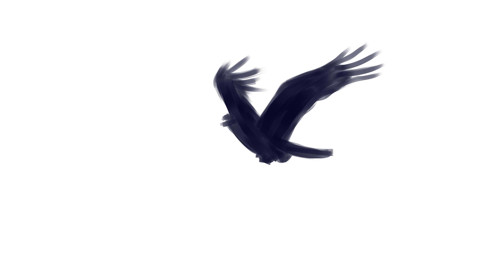 ArtStation - Crow Flight Study