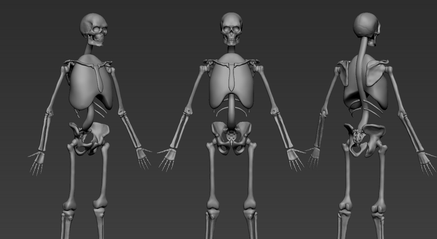 Mattia Cerini - Stylized human skeleton