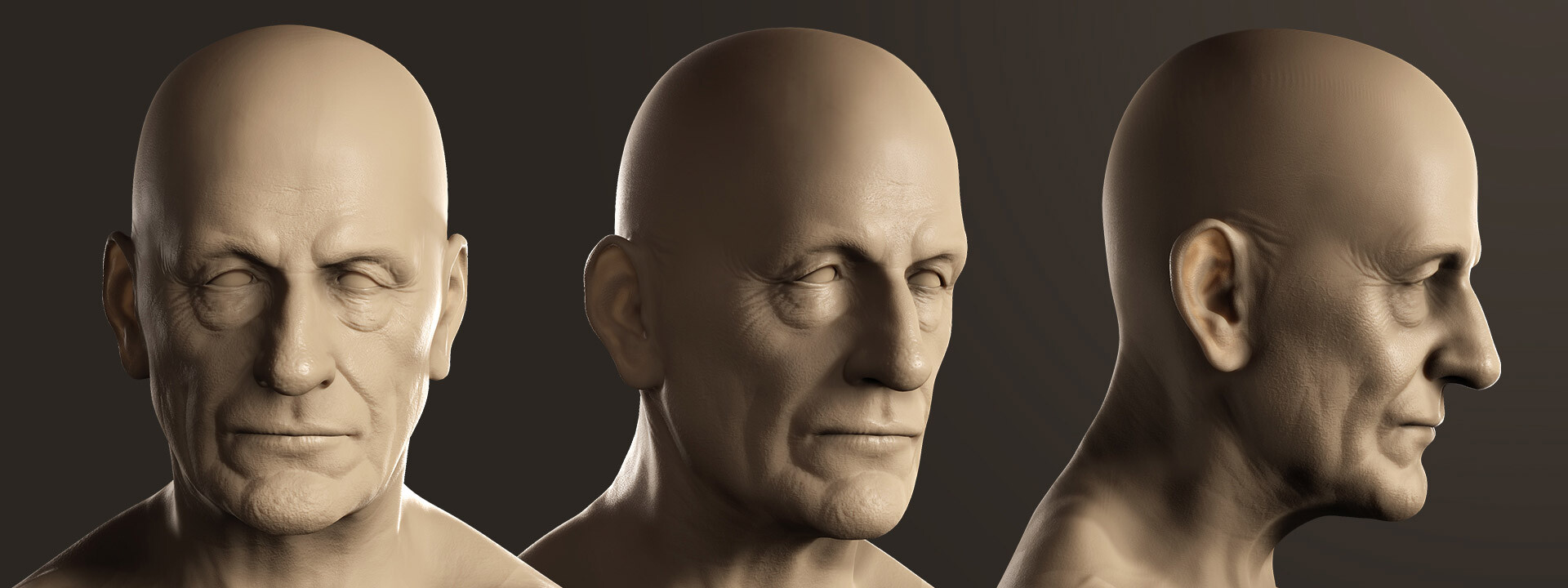 Reallusion Inc. - Digital Human: Old Male