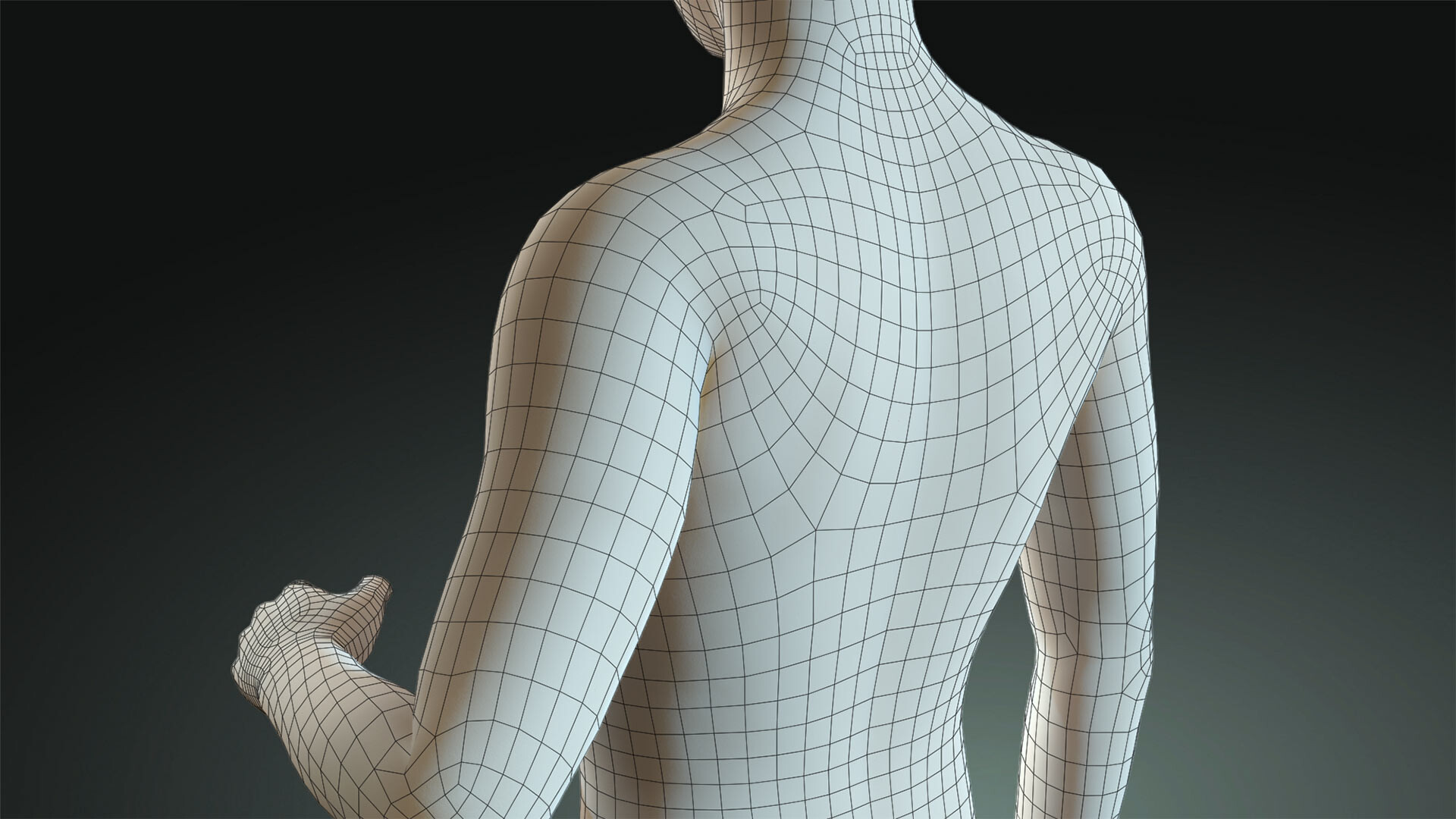 Reallusion Inc. - Character Creator 3 Base+