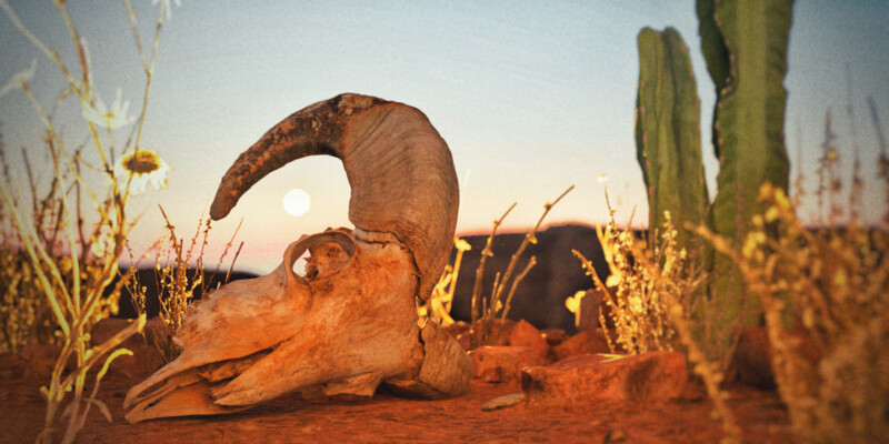 ArtStation - Elim Case