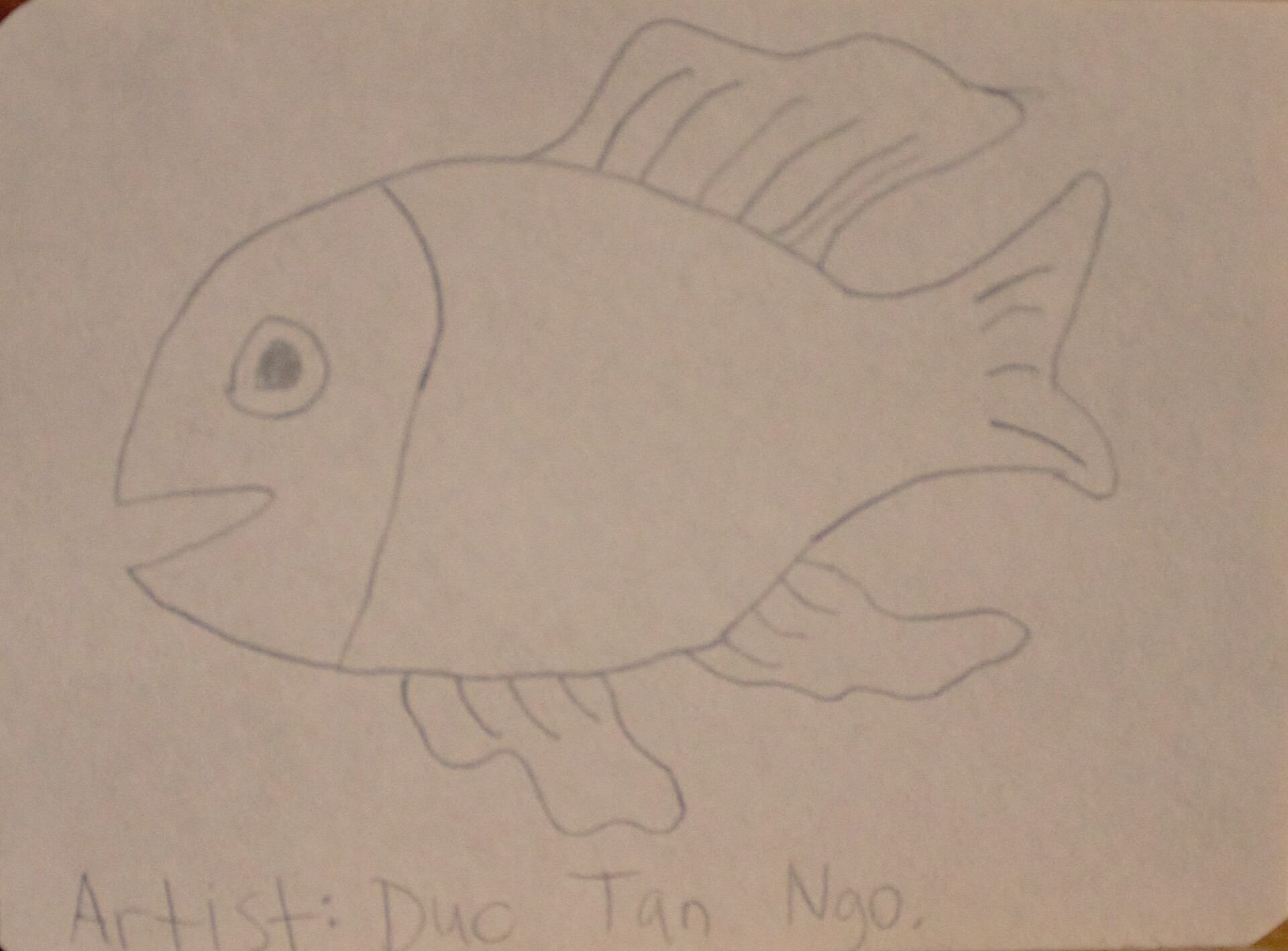 ArtStation - Drew Imaginary Fish Card Artwork (for Imaginary Fishing ...