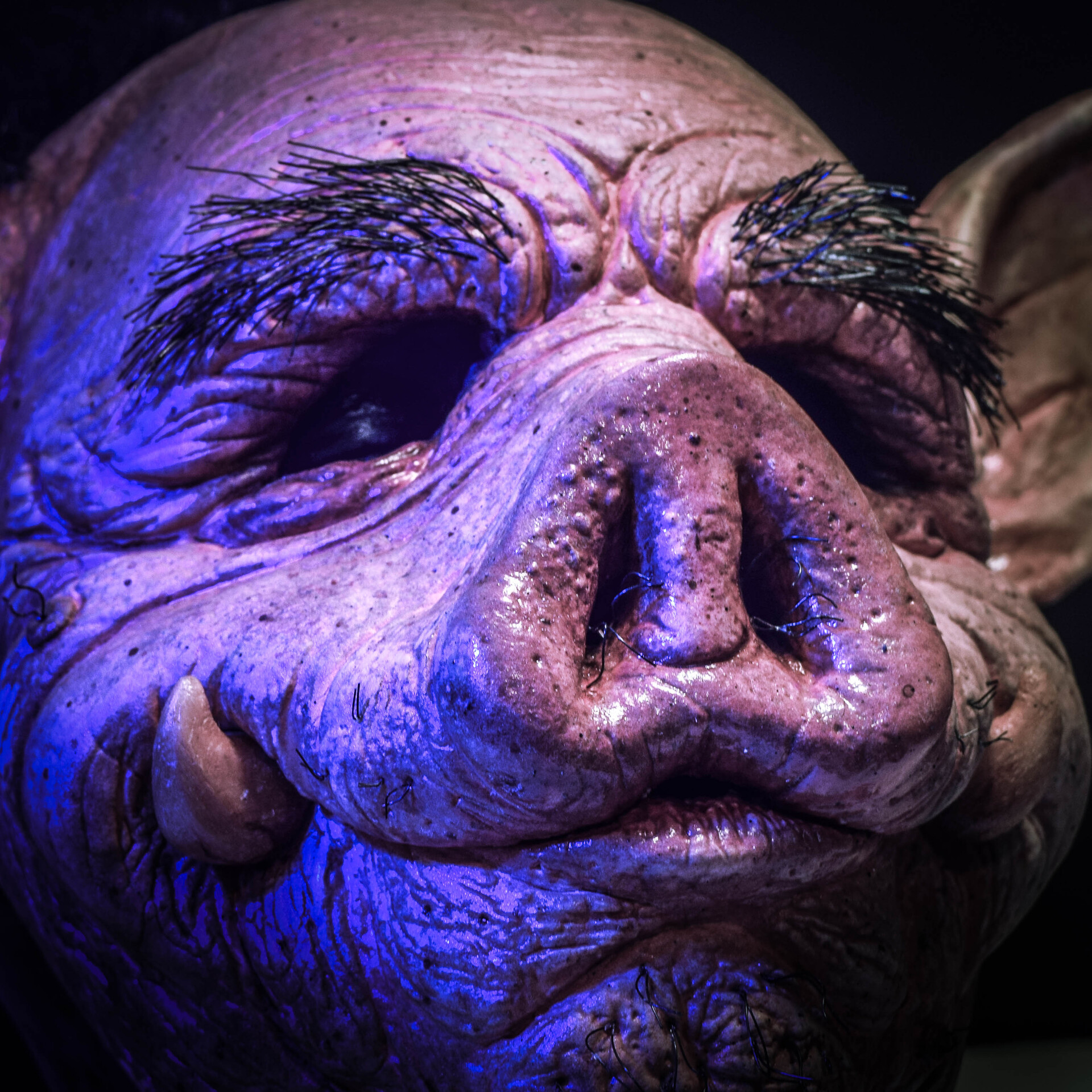 Realistic Pig Mask