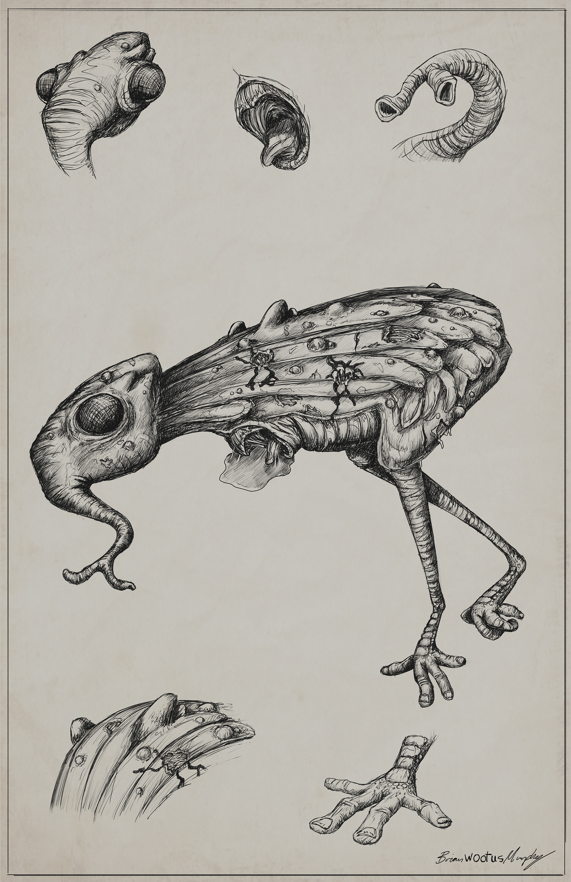 ArtStation - Alien Lifeform Scientific Illustration