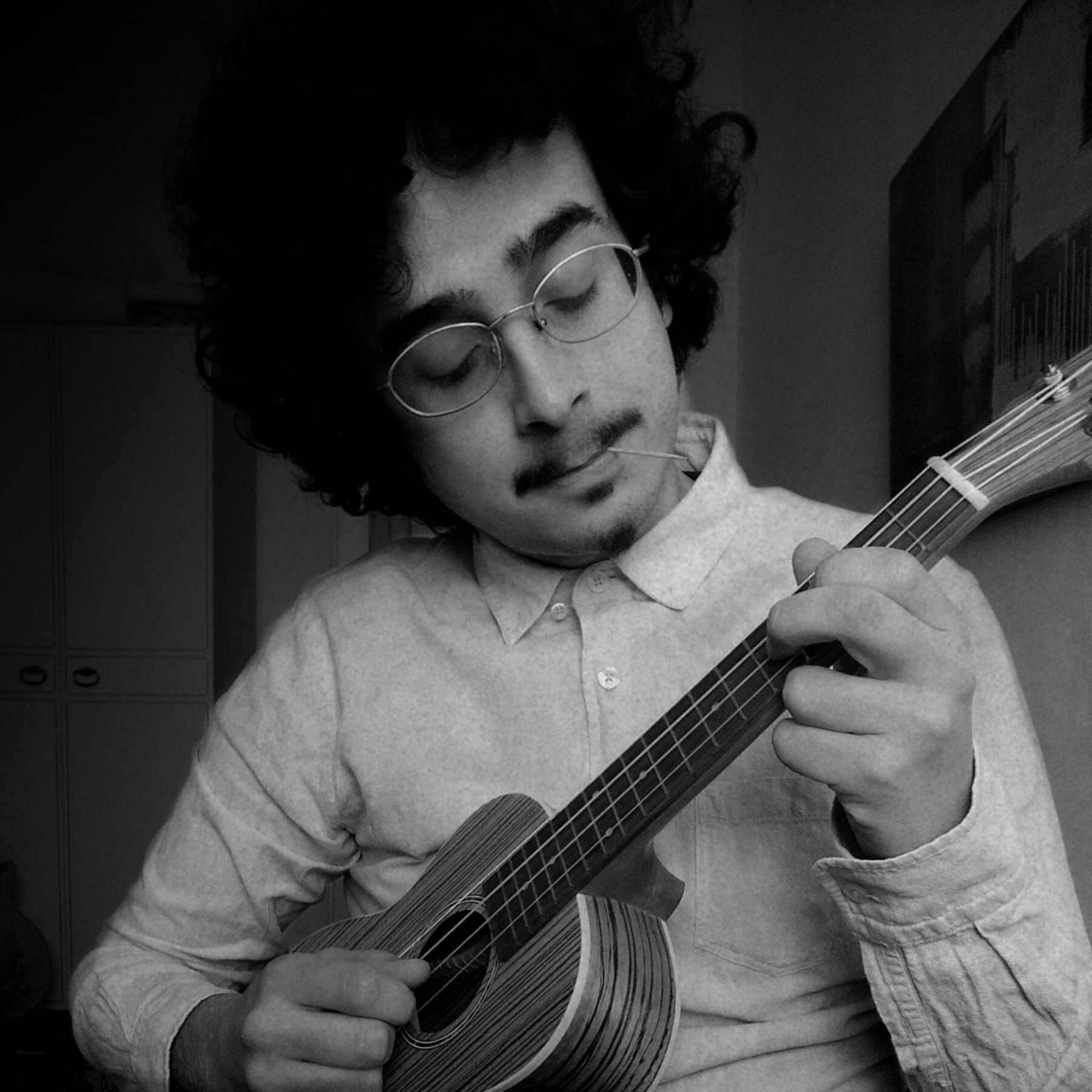 Pablo Luque Redondo - ...and even more vignettes