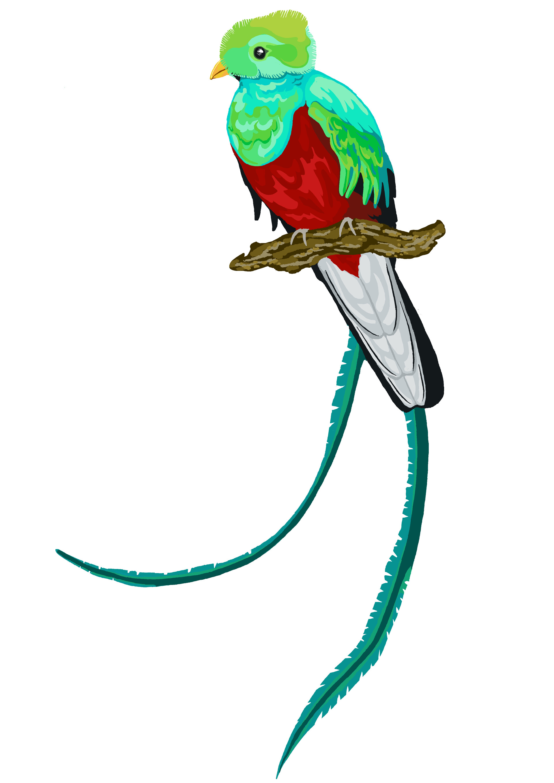 ArtStation - Resplendent quetzal