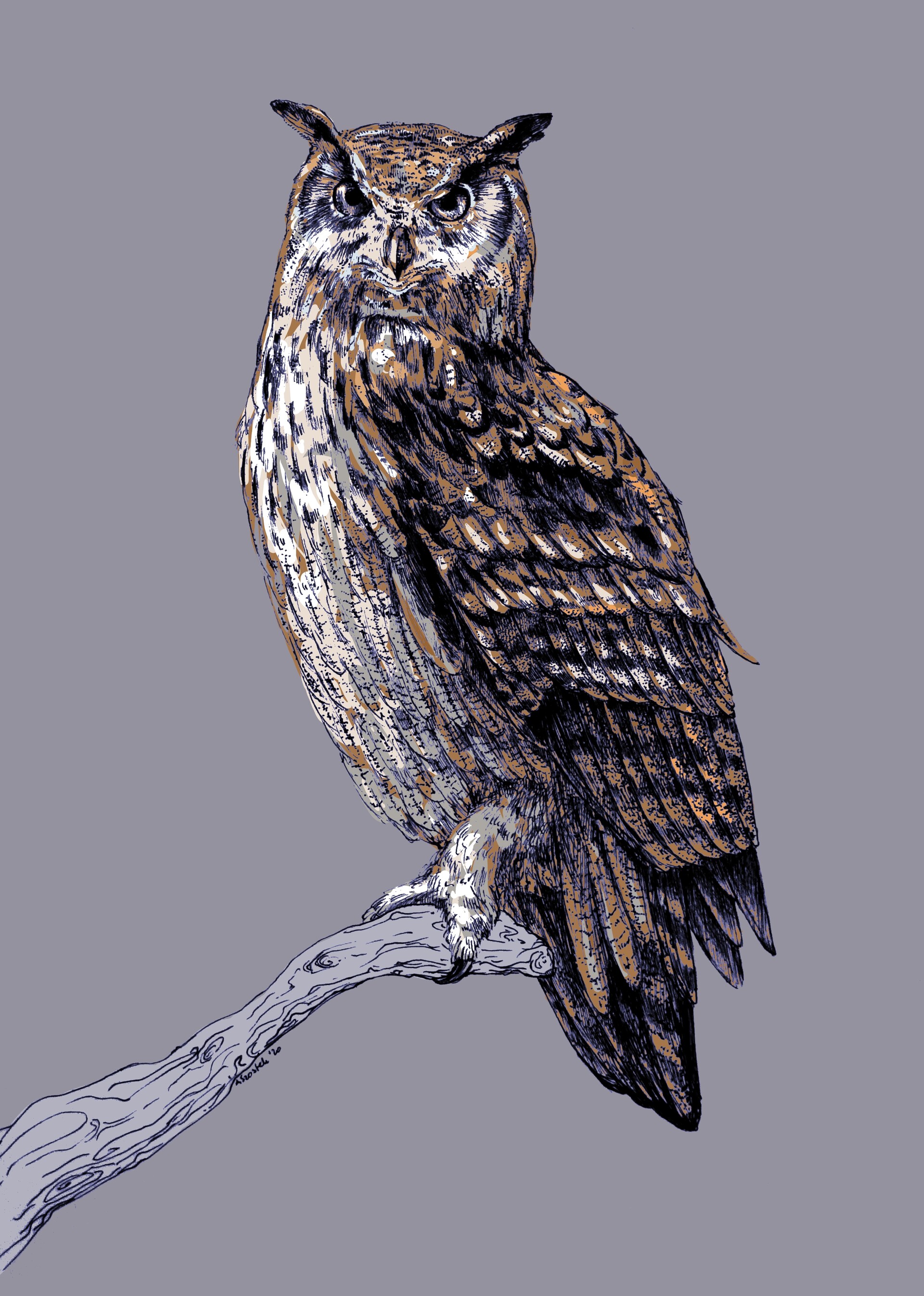 ArtStation - eagle-owl