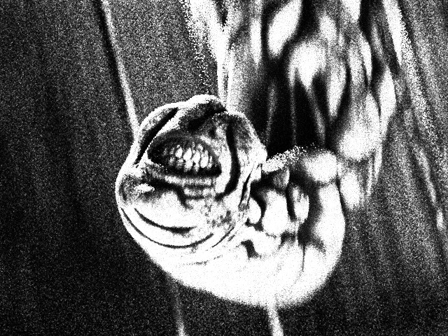 Robin Eriksson - Flesh Cage